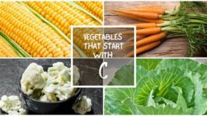 Vegetables That Start with C: A Complete Guide to Nutritious